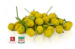 Edible Flowers In-Depth Flavor Guide | Marx Foods Blog